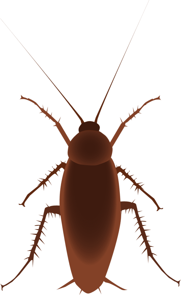 Pest Control in Connecticut & Western MA | Richland