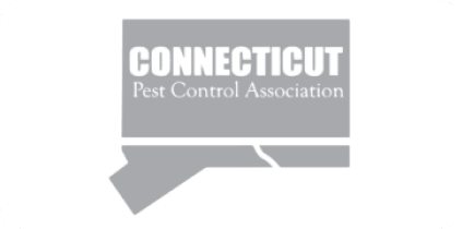 Pest Control in Fairfield, CT | Richland Rest & Bee