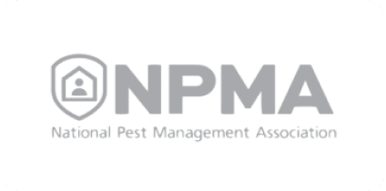 Pest Control & Preventive Services in Holyoke, MA | Richland Pest Control