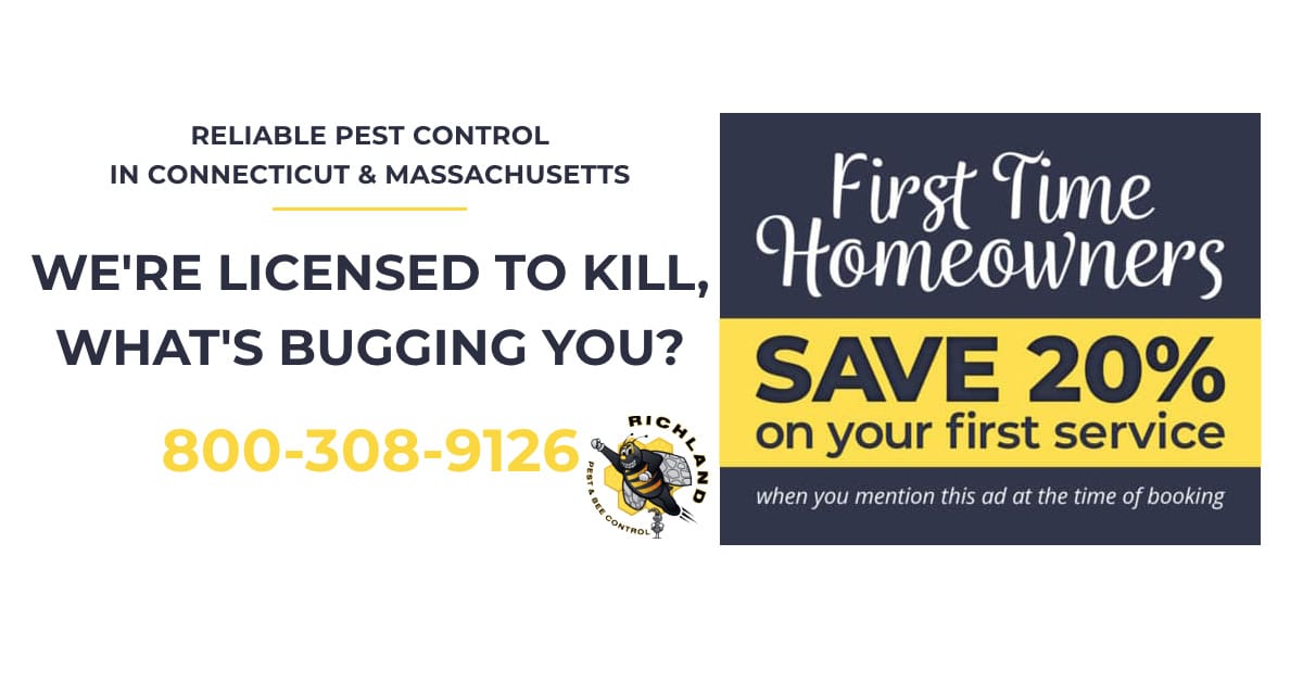 Pest Control & Preventive Services in Holyoke, MA | Richland Pest Control